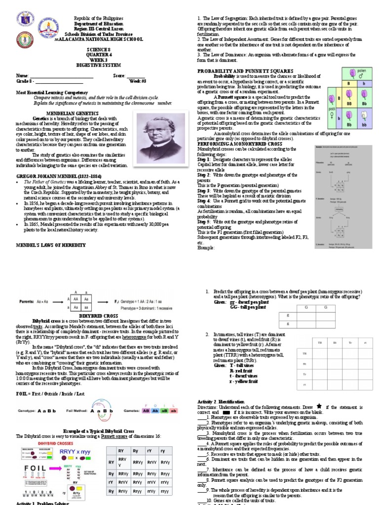 Science 8 Learning Activity Sheet Quarter 4 Week 3 | PDF | Dominance ...
