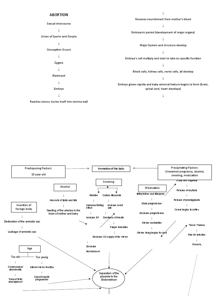 ABORTION Pathophysiology | PDF | Uterus | Miscarriage
