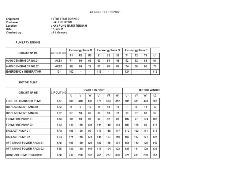 Comprehensive Megger Test Report Analyzing Electrical Insulation of ...