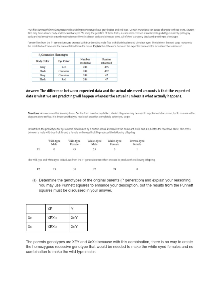 FRQ Practice 3 | PDF | Dominance (Genetics) | Gene