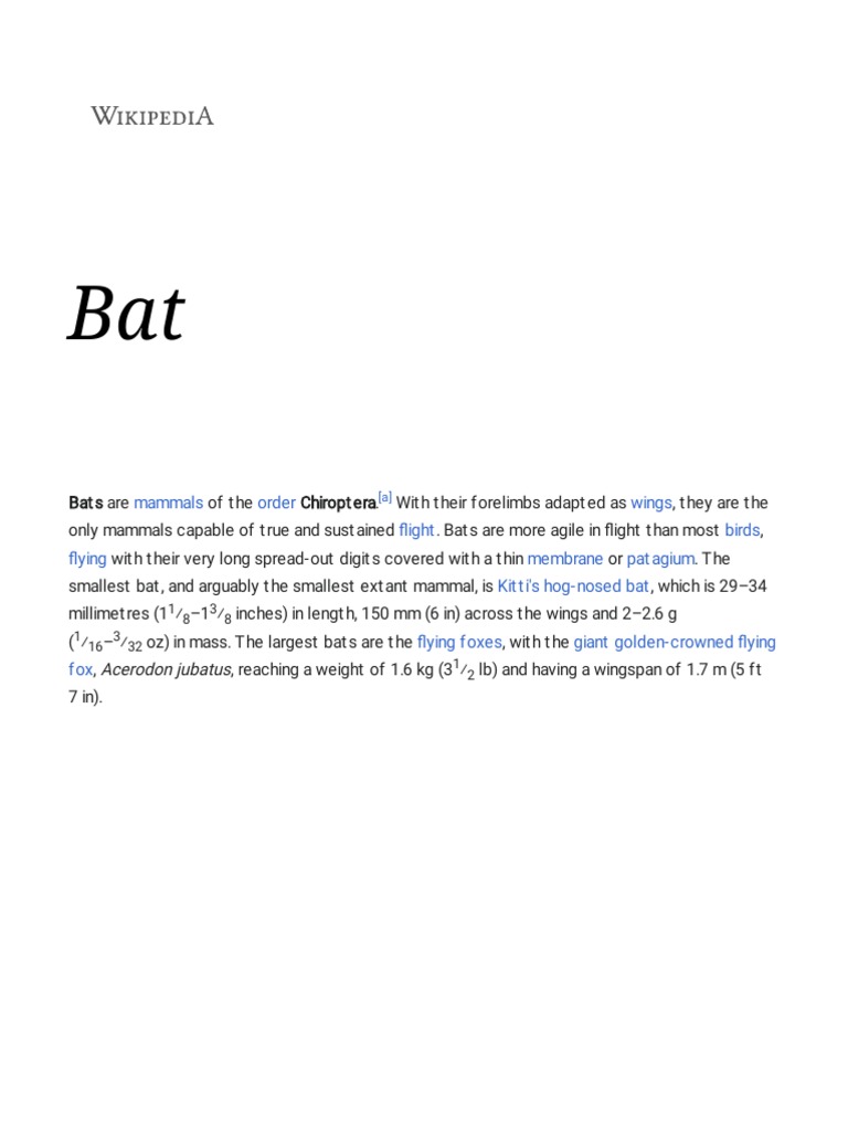 Bat - Wikipedia | PDF | Bat | Zoology