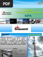 18 Elementos del SASISOPA Industrial | PDF | Seguridad | Informática y ...