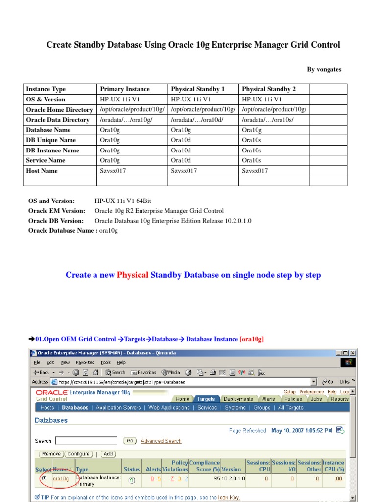 Oracle Dataguard 10g Over Emgrid Control | PDF | Oracle Database | Databases