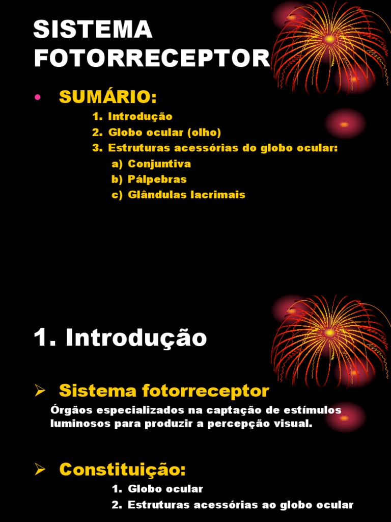 Sistema Fotorreceptor | PDF | Olho | Sistema visual