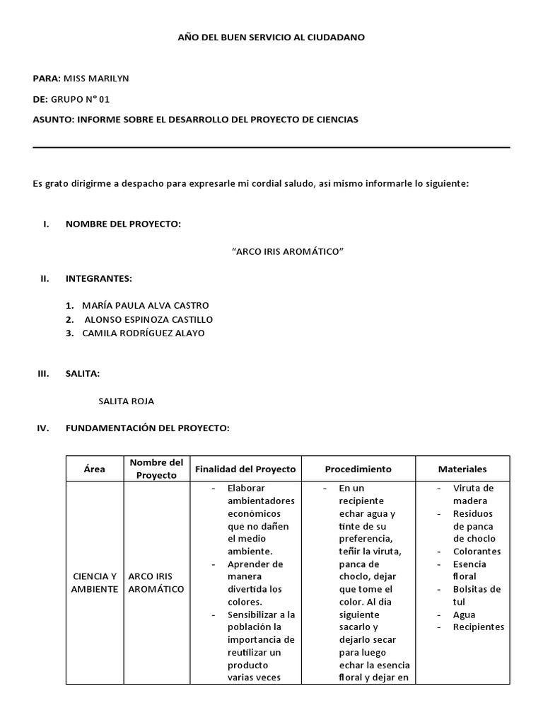 Informe Del Proyecto Arco Iris | PDF