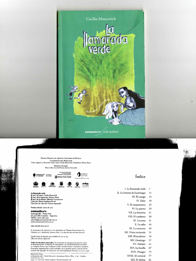 Libro I - La Llamarada Verde | PDF