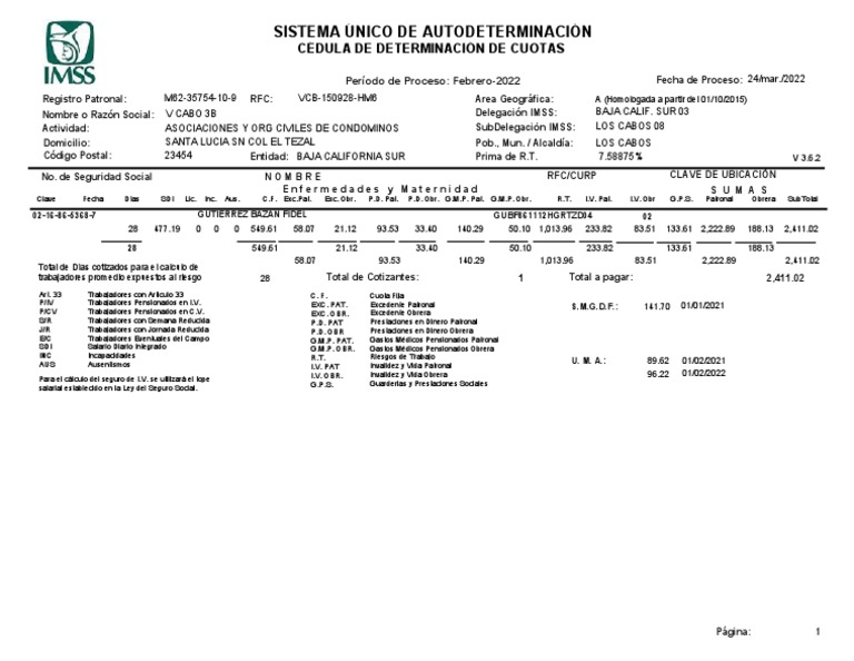 Cedula de Determinacion Mensual | PDF | Economias | Bienestar