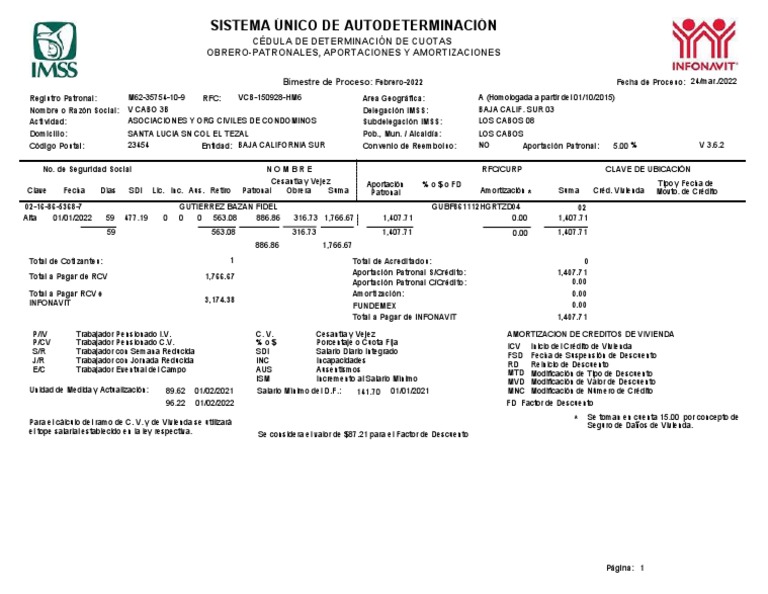 Cedula de Determinacion Bimestral | PDF | Gastos | Demanda de dinero