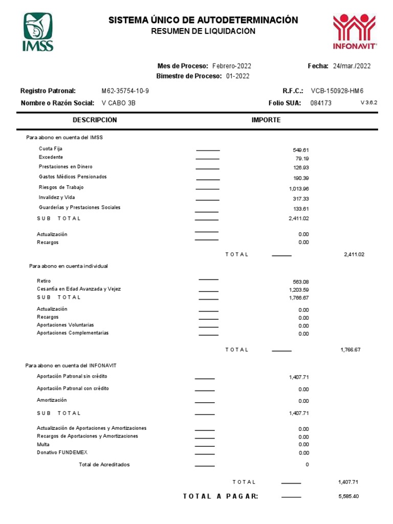 Resumen De Liquidación Imss Y Sua Pdf Servicios Financieros