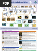 Theory of Island Biogeography Virtual Lab | PDF | Biogeography | Habitat