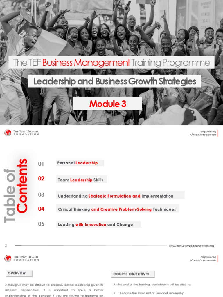 Business Management: The Tef Training Programme | PDF | Strategic ...