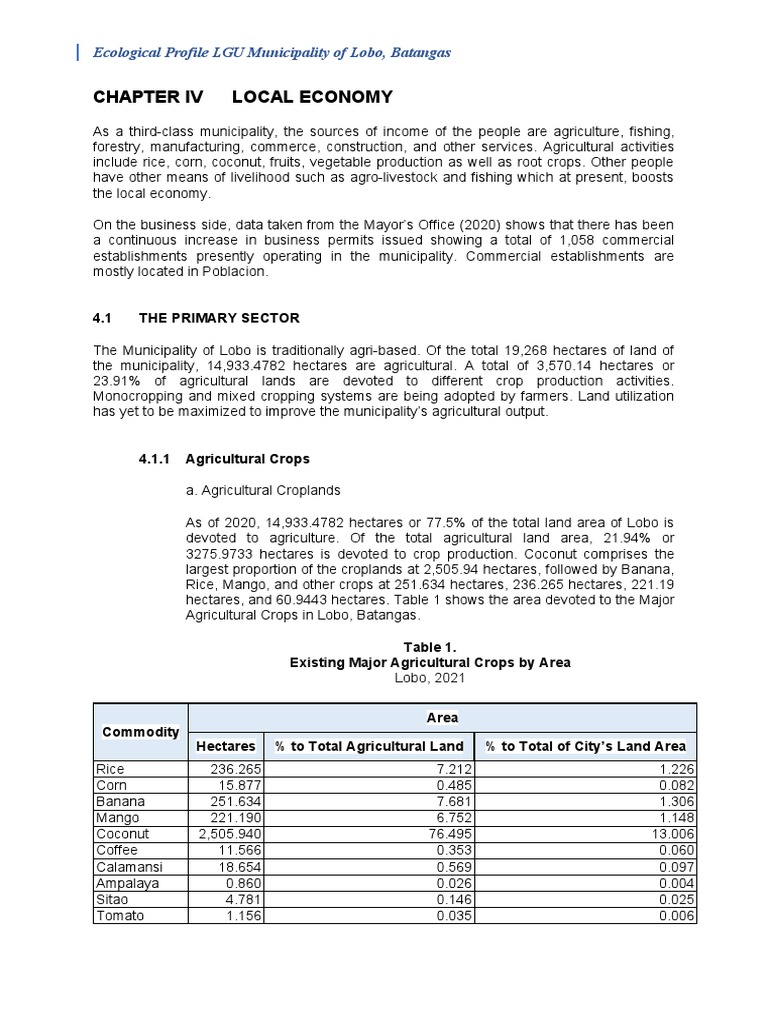 ECONOMIC SECTOR. Chapter IV. Local Economy | PDF | Agriculture | Tourism