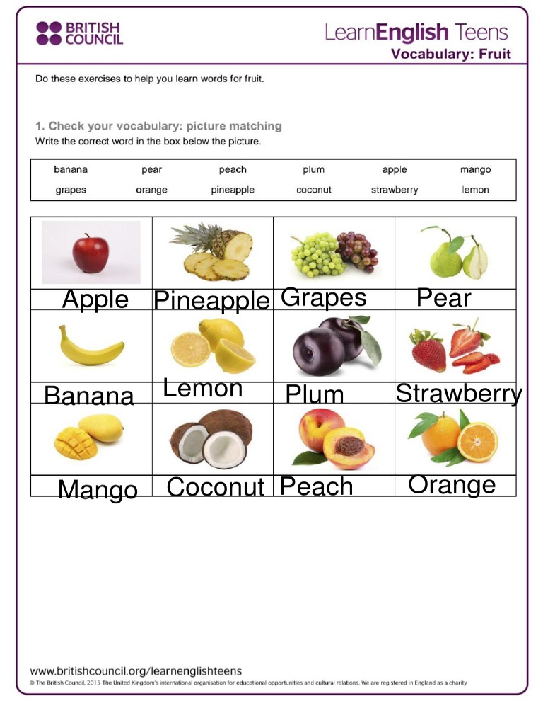 Actividad Fruta | PDF