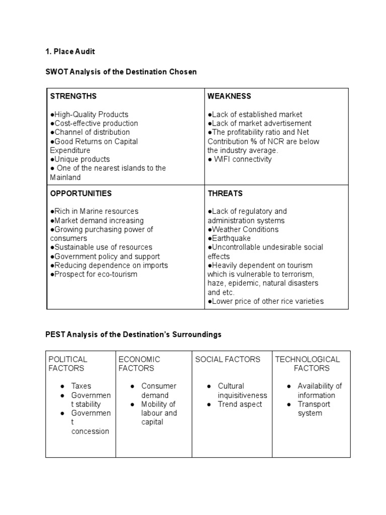 Place Audit SWOT Analysis of The Destination Chosen Strengths Weakness ...