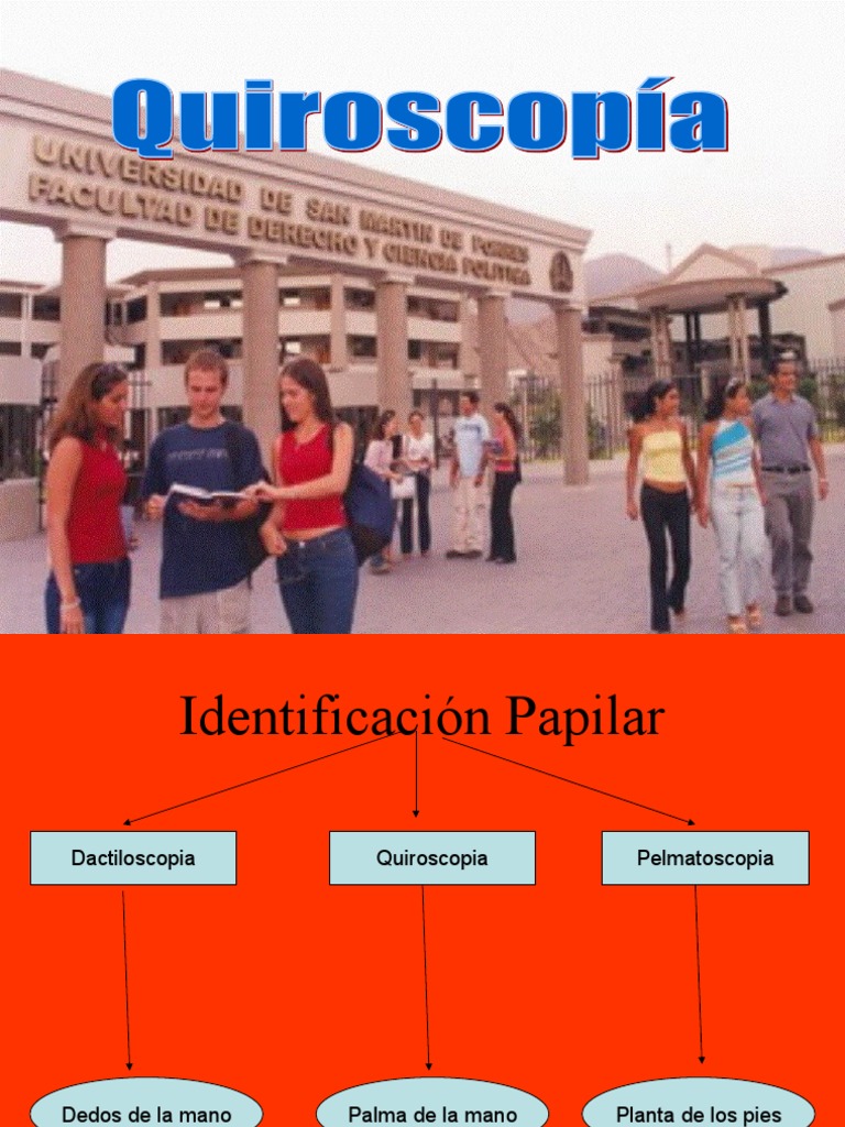 Quiroscopia: Estudio de Huellas Palmares | PDF | Huella dactilar ...