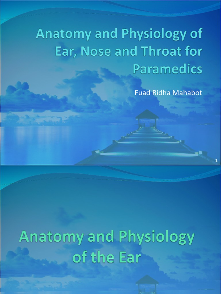 Anatomy, Physiology of ENT For Paramedics - Dr. Fuad Ridha | PDF | Ear ...