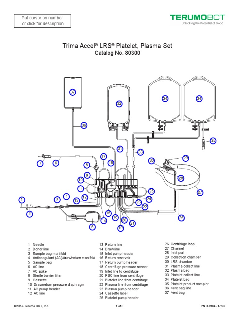 Trima Accel LRS Platelet, Plasma Set: Catalog No. 80300 | PDF | Blood ...