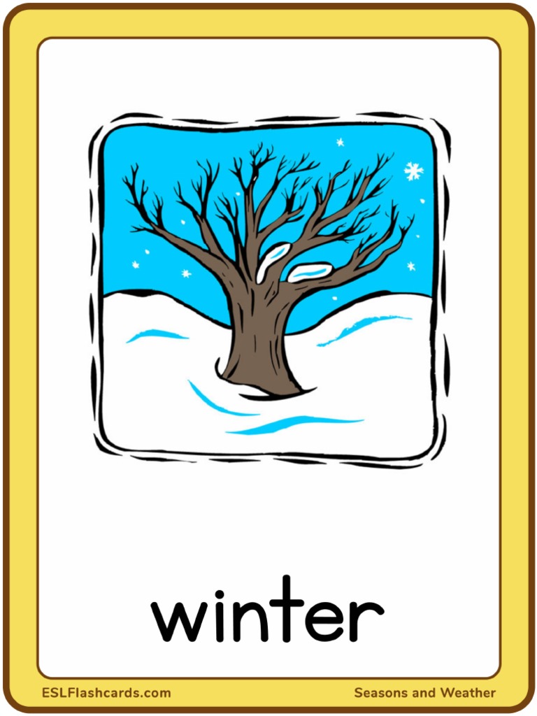 Seasons and Weather Large Flashcards With Labels | PDF