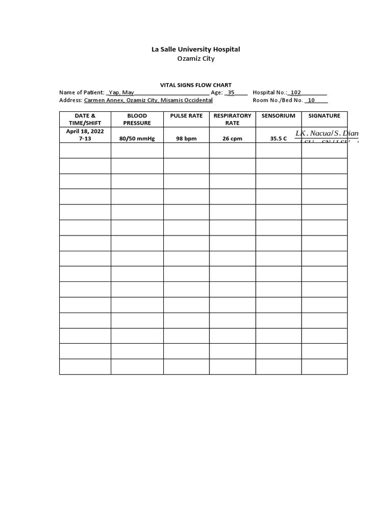 Plotting and Documenting Vital Signs and Census - Sample Ob Ward | PDF