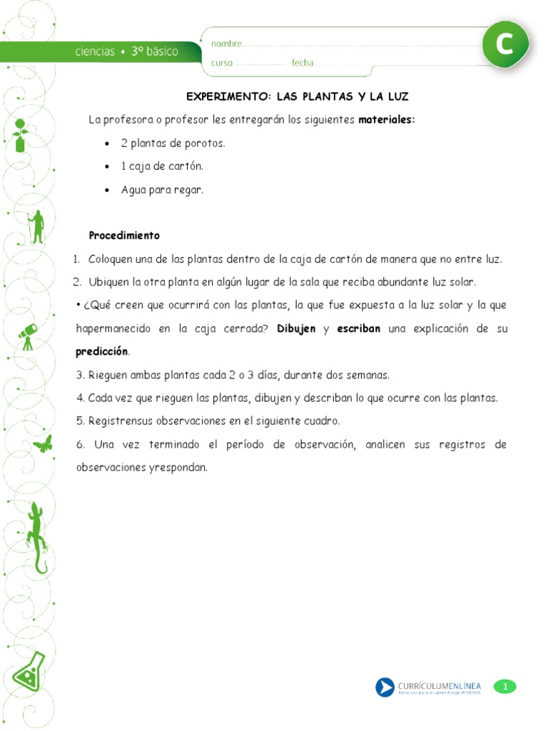 Experimento - Las Plantas y La Luz. | PDF