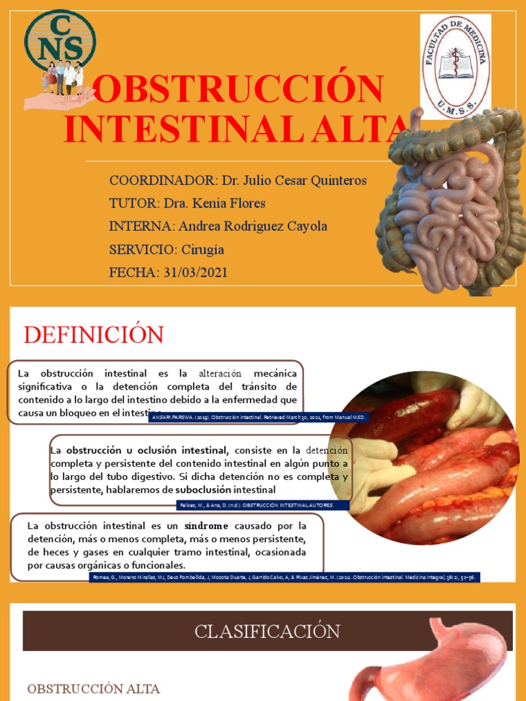Obstruccion Intestinal Alta | PDF | Medicina CLINICA | Especialidades ...