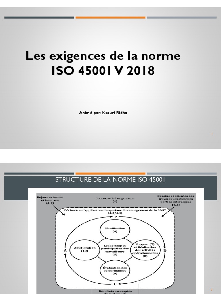 Les Exigences de La Norme ISO 45001 Partie 1 | PDF | Risque ...