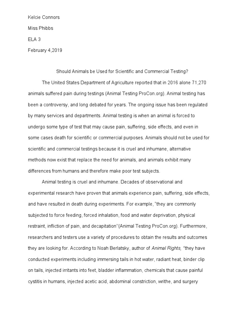 Animal Testing Argumentative Essay | PDF | Animal Testing | Experiment