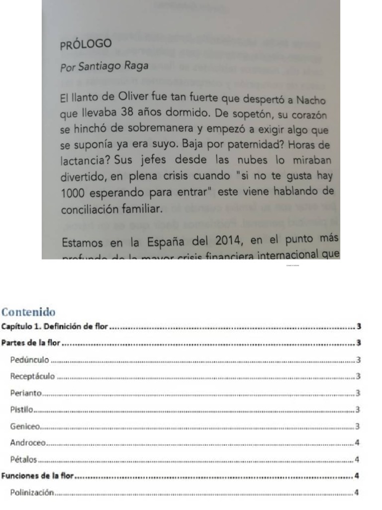 Ejemplos de Prólogo, Índice y Textos Introductivos | PDF