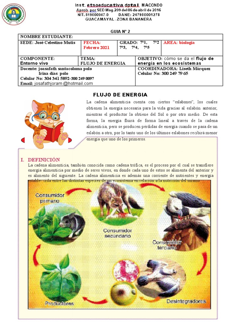 Guia de Septimo Flujo de Energia | PDF | Ecología | Ciencia medioambiental