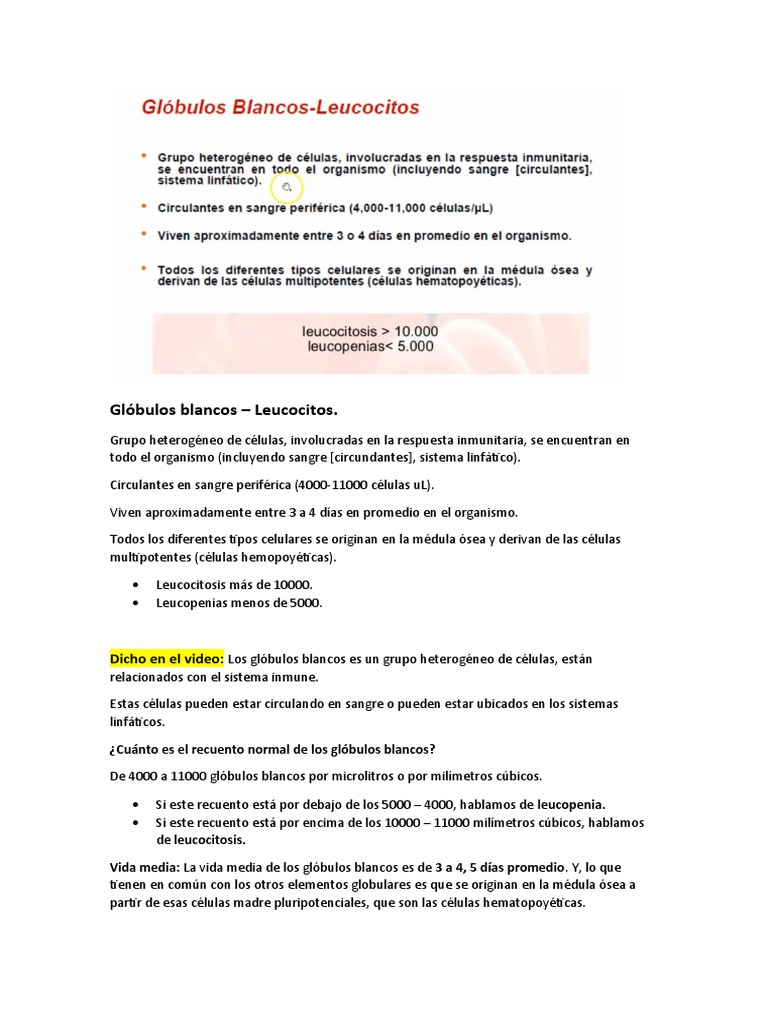 Glóbulos Blancos 1 | PDF | Leucocito | Sistema inmune