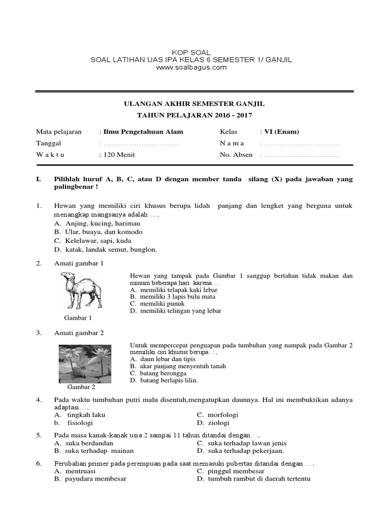 Soal UAS IPA Kelas 6 Semester 1 | PDF