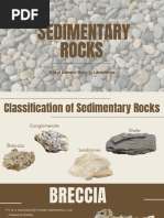 Sedimentary Rocks (Lecture Notes) | PDF | Sedimentary Rock | Shale