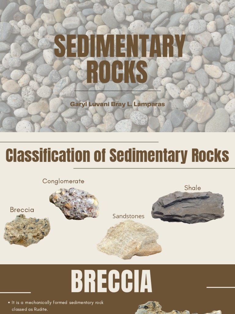 Chapter 3.5 Sedimentary Rocks | PDF | Shale | Sandstone