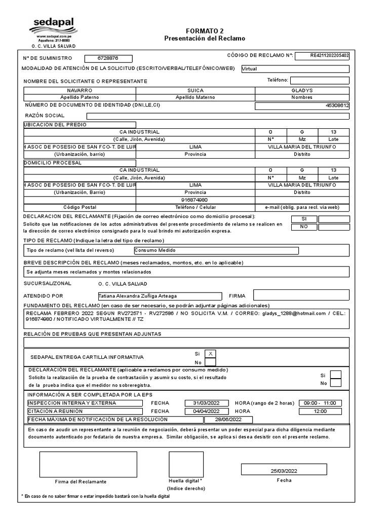 Sedapal Formato 2 | PDF