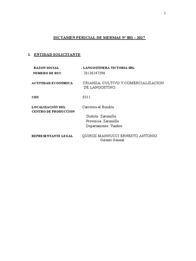 Informe Tecnico de Mermas | PDF | Business | Impuestos