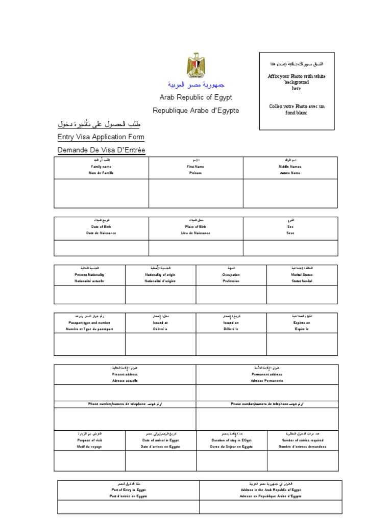 Egypt Entry Visa Application Form | PDF | Travel Visa | Global Politics