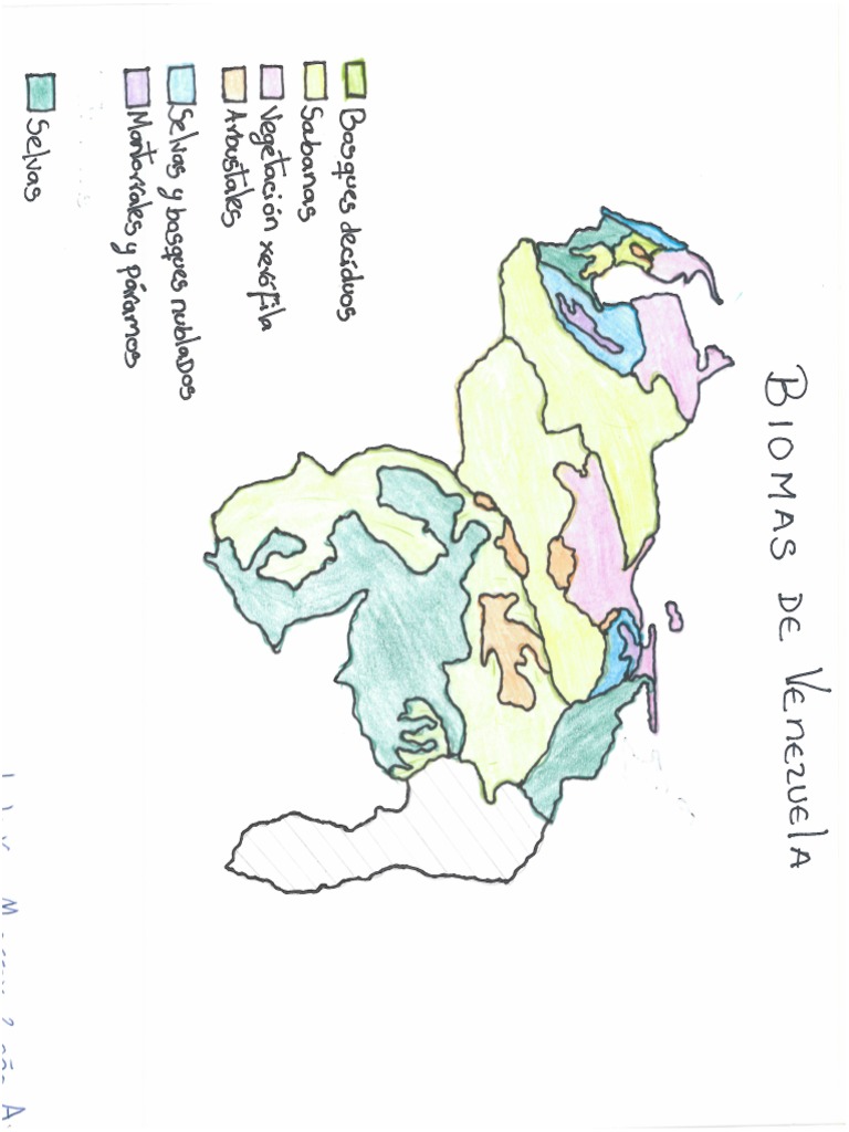 Mapa Biomas de Venezuela | PDF