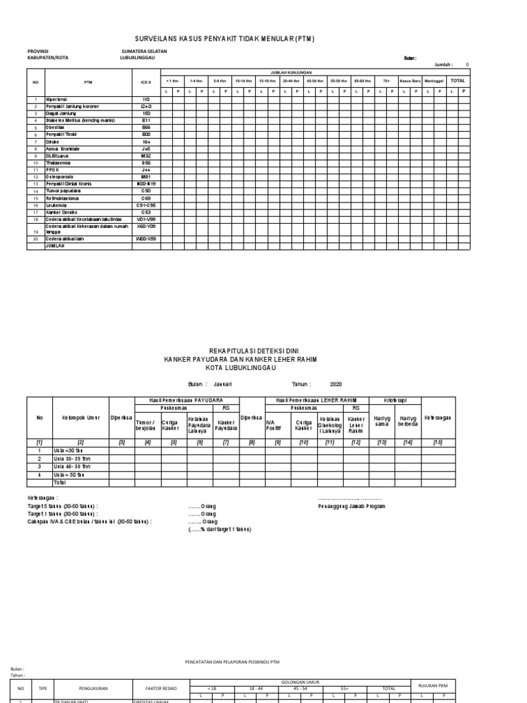 Format Laporan PTM | PDF