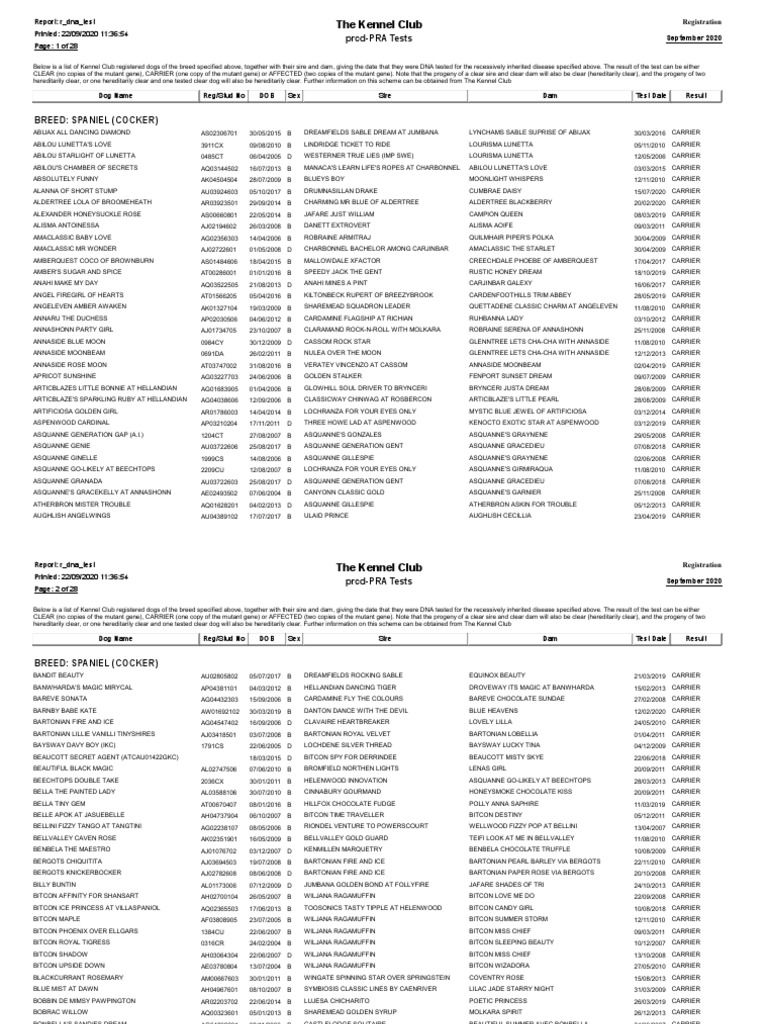 Cockerspaniel Pra Carriers | PDF | Gene | Domestication