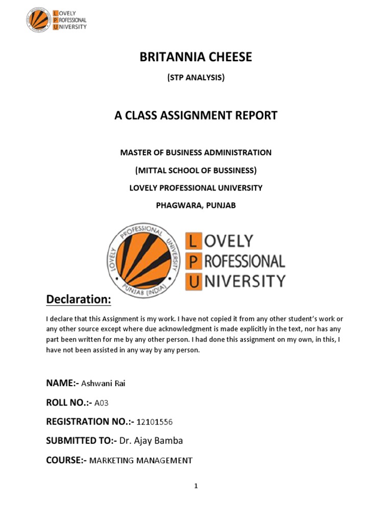 Britannia Cheese A Class Assignment Report Pdf Market Segmentation Cheese