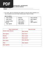 Fracturas de Cotilo: Clasificación y Tratamiento | PDF | Pelvis ...