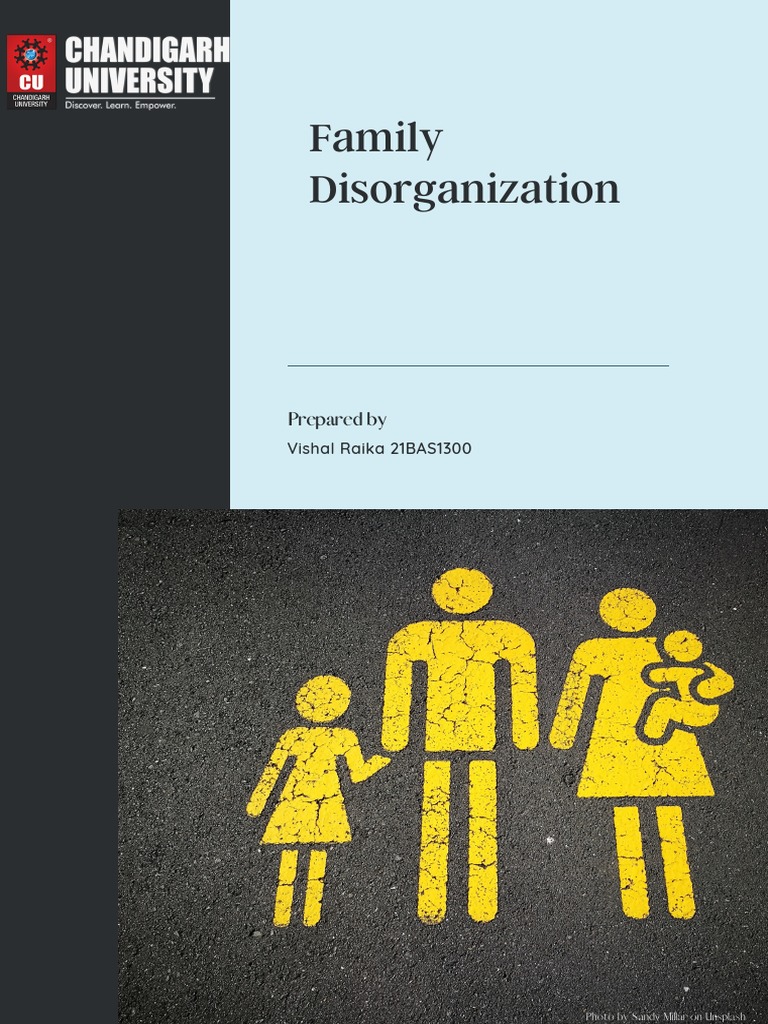 Causes and Effects of Family Disorganization | PDF | Wellness