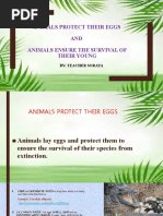 Science Year 5 Notes | PDF