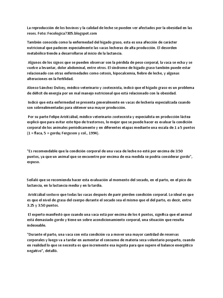 Sindrome De La Vaca Gorda Pdf Triglicéridos Tejido Adiposo