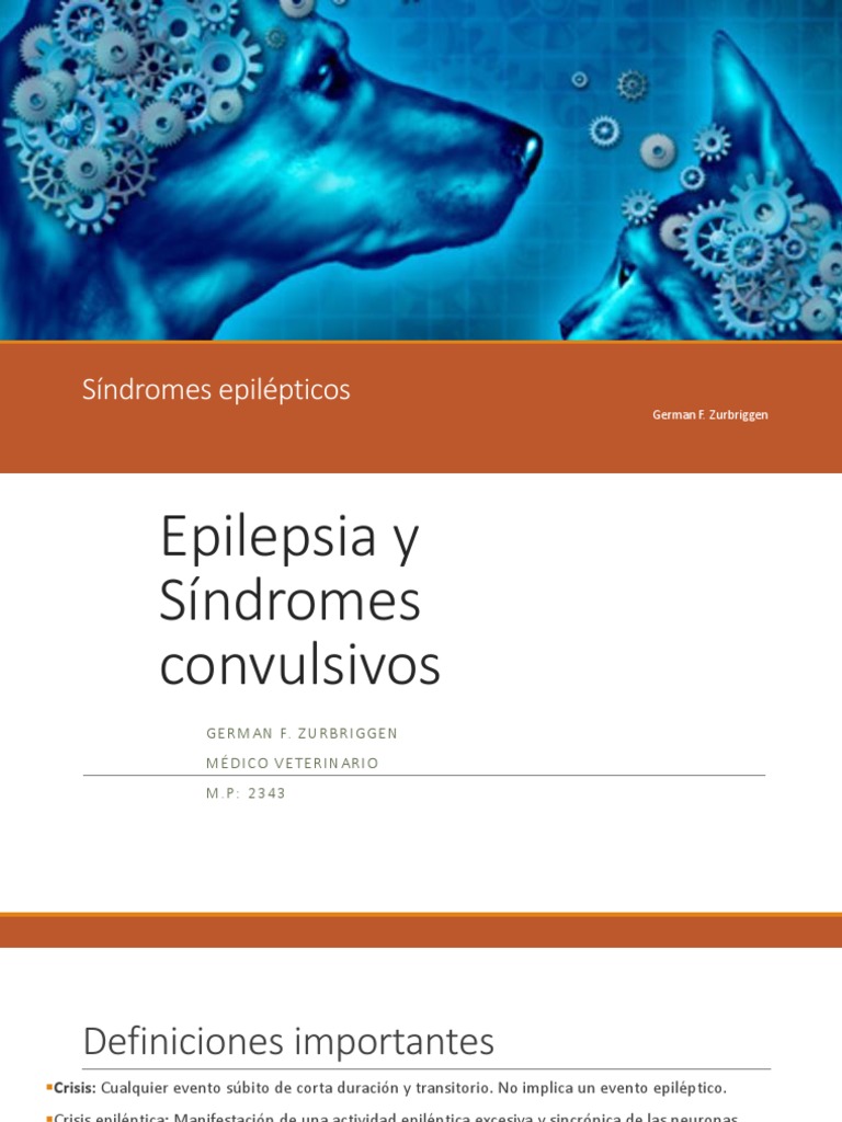 Sindromes Epilepticos 2021 | PDF | Epilepsia | Medicina CLINICA