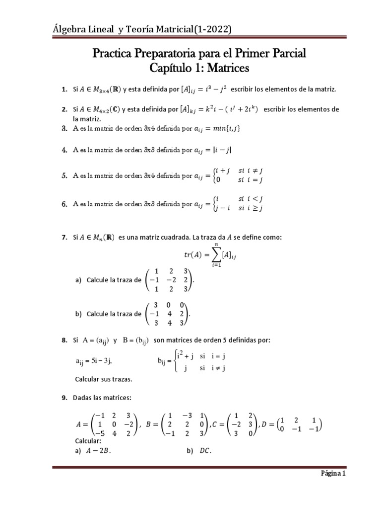 Práctica 1 - Matrices | PDF | Matriz (Matemáticas) | Álgebra lineal