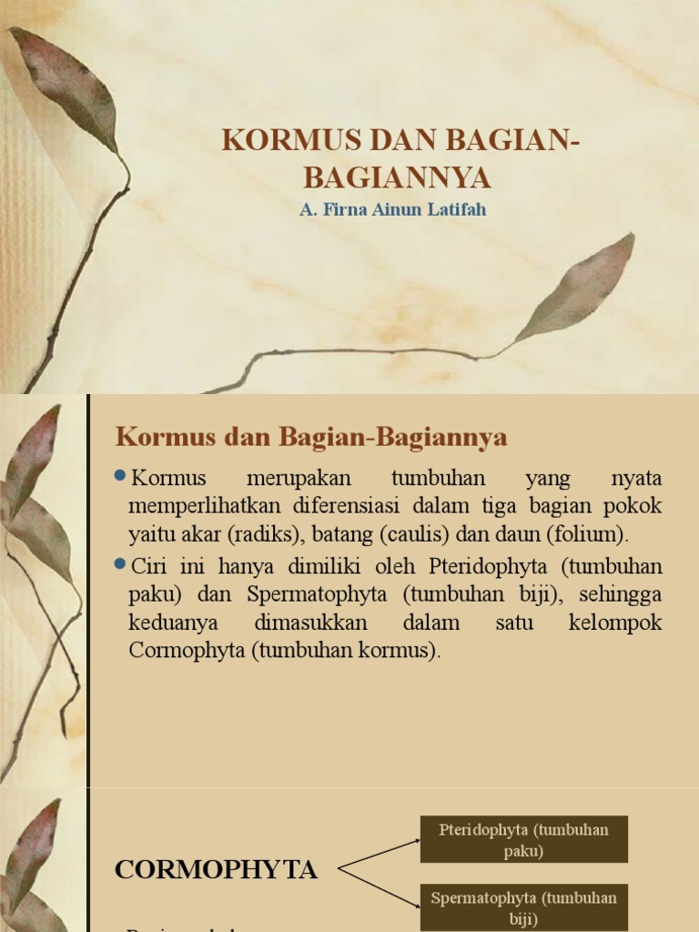 Kormus Dan Bagian-Bagiannya | PDF