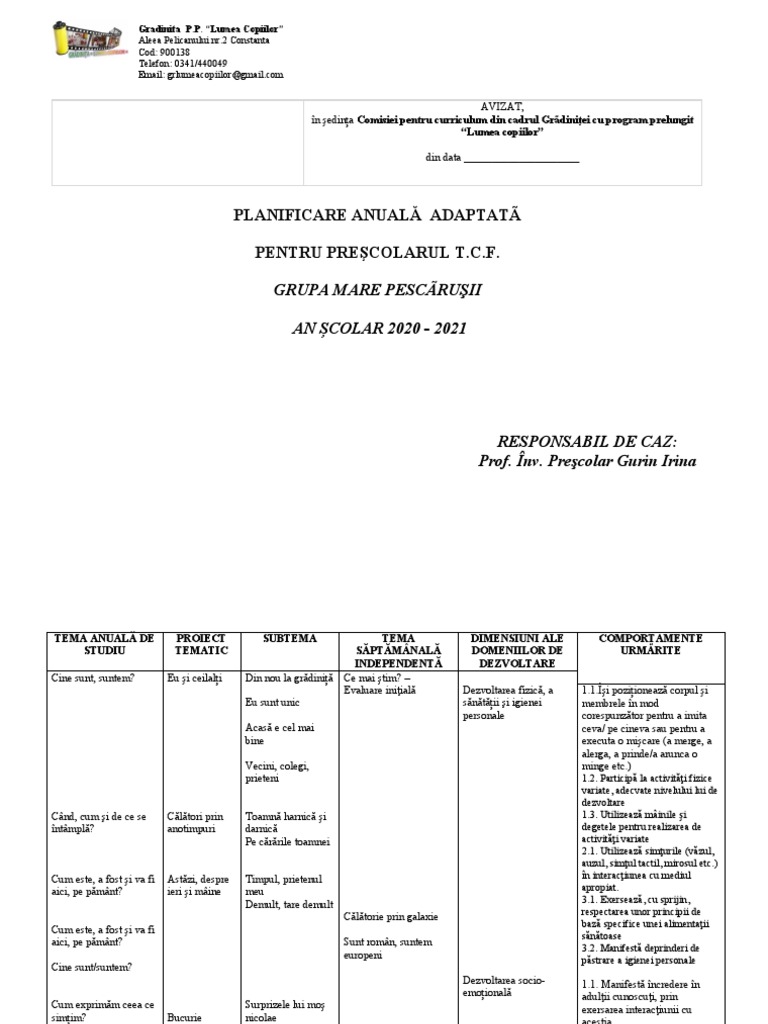 Curriculum Adaptat | PDF