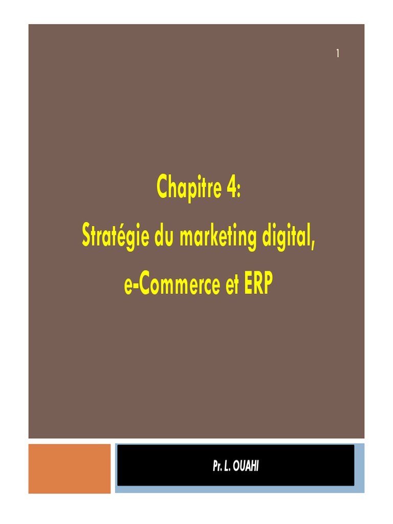 Chapitre 4 Stratégie Web 2.0, E-Commerce Et ERP | PDF | Progiciel de gestion intégré | Internet ...