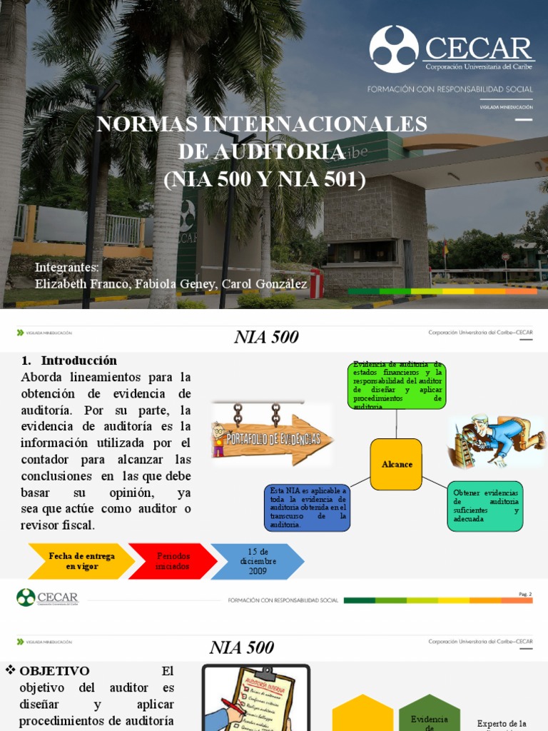Presentación NIA 500 Y NIA 501 | PDF | Auditoría | Auditoría financiera